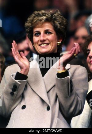 PRINCESS DIANA PRINCESS OF WALES 19 February 1994 Stock Photo - Alamy