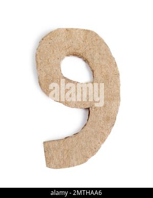 Creative number 9 nine shape cutout with fresh flowers and raindrops ...