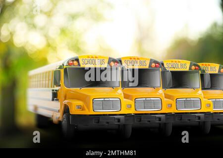 Yellow school buses outdoors. Transport for students Stock Photo - Alamy