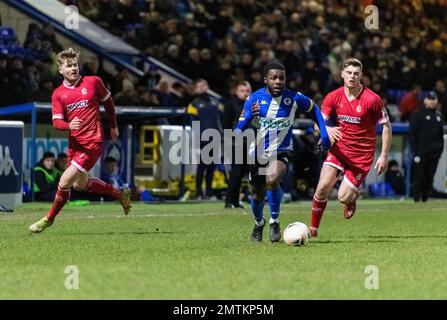 Chester, Cheshire, England. 31th January 2023. Chester's Alex Brown ...