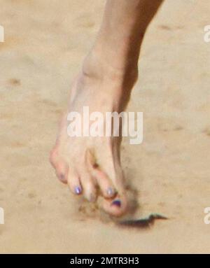 Steven Tyler during the American Idol Top Finalists Party held at The ...