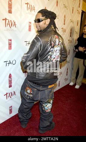 Lil Jon on the red carpet at the Tava Sparkling Beverage launch at TAO ...