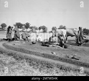 Persian wheel system of water irrigation Stock Photo - Alamy