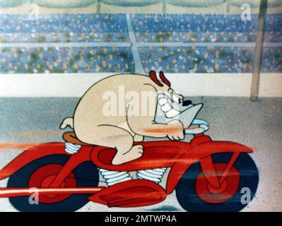 The Chump Champ Year: 1950 USA Director: Tex Avery Animation Stock ...