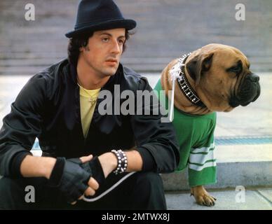 Rocky 2 Year: 1979 USA Sylvester Stallone Director: Sylvester Stallone ...