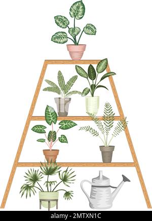 Vector tropical cordyline clip art. Jungle foliage illustration. Hand ...
