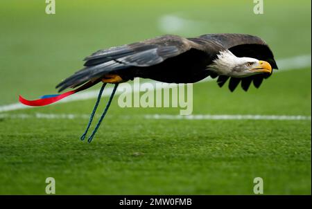 Crystal Palace's bald eagle mascot Kayla during English Premier League ...