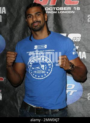 British pro boxer David Haye attends Ultimate Fighting Championship ...