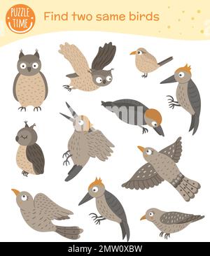 Find two same birds. Forest black and white matching activity or ...