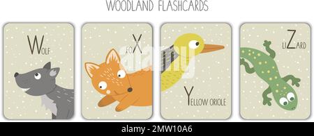 Flashcard letter W is for wolf Stock Vector Image & Art - Alamy