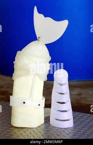 Even dolphins can wear prosthetic limbs! Two years ago Winter lost her ...