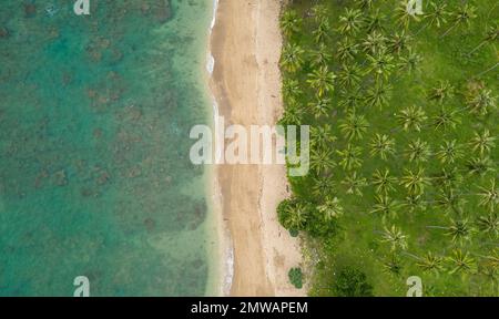 A drone shot of green coast on a sea under the cloudy sky, cool for ...