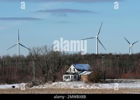 Large wind turbines producing plant on the sea under sunset Stock Photo ...