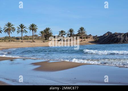 The Snake Bay (Playa Percheles) near Mazarron with palm trees, Murcia ...