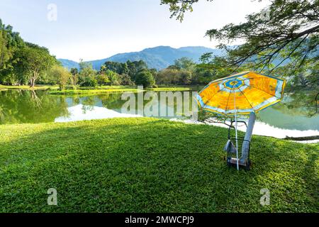 Taiping, Malaysia - 1st Jan 2023: Beautiful Raintree Walk in Taiping ...