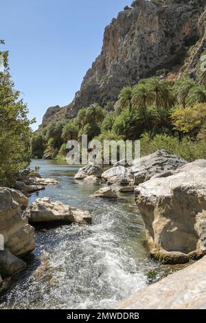 Stream, palm trees, Preveli, Crete, Greece Stock Photo - Alamy