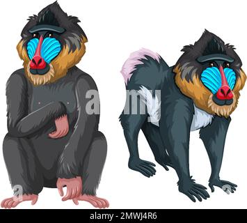 Two chimpanzee isolated on white background illustration Stock Vector ...