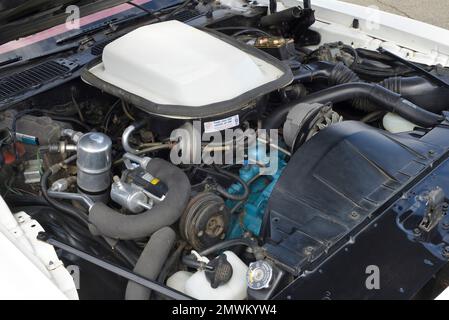 The 301 V-8 in a 1979 Pontiac Trans Am Stock Photo - Alamy