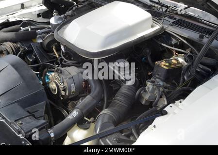 The 301 V-8 in a 1979 Pontiac Trans Am Stock Photo - Alamy