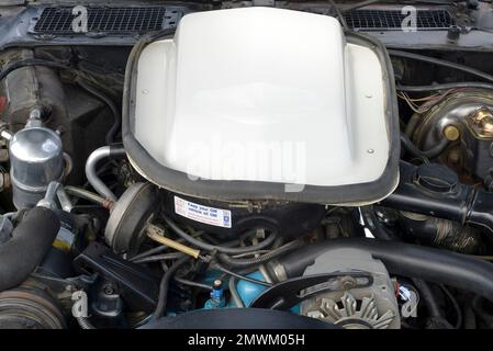 The 301 V-8 in a 1979 Pontiac Trans Am Stock Photo - Alamy