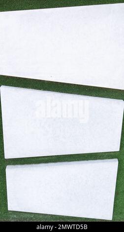 Decorative slate stone paving of path RHS Gardens Royal Horticultural Society garden Rosemoor ...