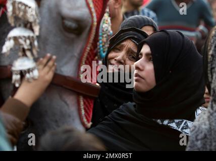 Pakistani Shiite Muslims pay respects to Zul Jinnah, a horse ...