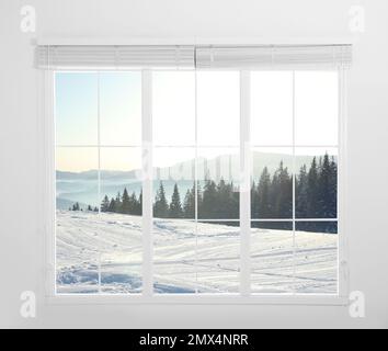 Very beautiful winter landscape, real big pine trees, fir trees ...