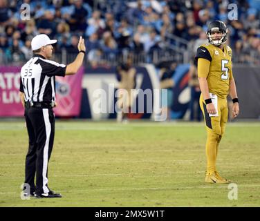 Referee John Hussey (35) makes a call during an NFL football game ...