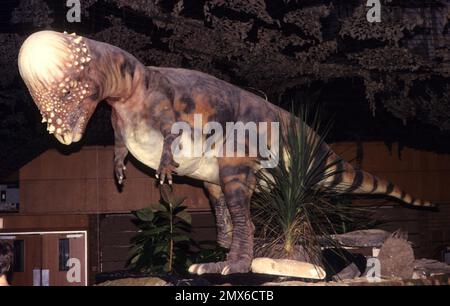Life sized animatronic dinosaurs by American company Dinamation Corp on ...