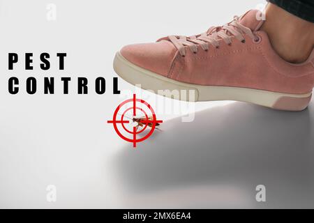 Woman crushing cockroach with feet on white background, closeup. Pest ...