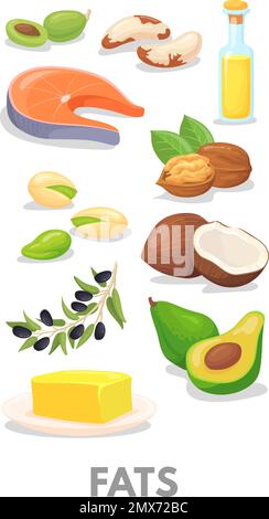 Healthy fats products on white background, vector illustration Stock ...