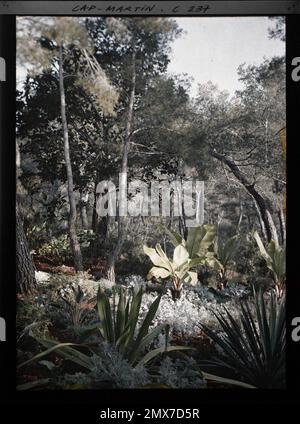 Cap Martin , France , 1914 - Cap Martin - Auguste Léon - (March Stock ...