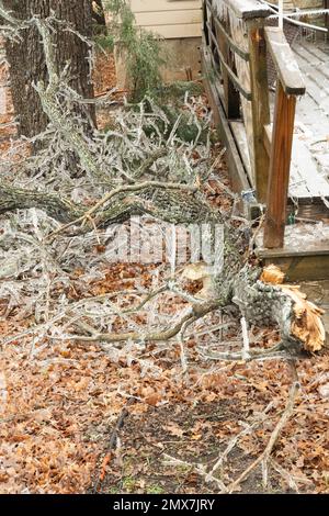 Georgetown, Texas USA , Feb 2023 - Broken trees and vegetation due to ...