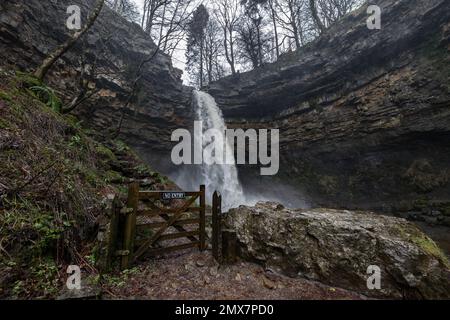 Hardraw Force, England`s largest single drop waterfall, a reputed 100 ...
