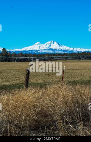 Mountains of the central Oregon Cascade Range and a forest of old ...