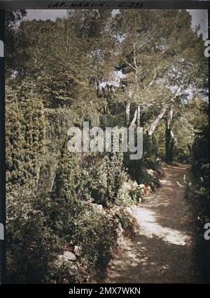 Cap Martin , France , 1914 - Cap Martin - Auguste Léon - (March Stock ...