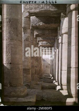 Abydos, Egypt, Africa bas-reliefs painted inside the Ramses II temple ...