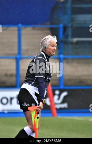 Welsh rugby referee in action Stock Photo - Alamy
