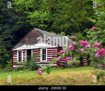 Red painted logs form the walls of this log cabin. Roof is tin. Cabin ...