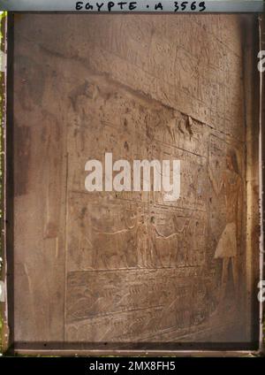 Saqqara, Egypt, Africa Bas-reliefs representing scenes of stewardship ...