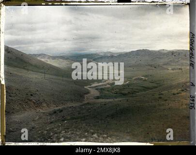 Between Kiakhta and Ourga, Transbaïkalie, Mongolia seen from taiga with ...