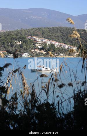 Milas, Mugla, Turkey : 24 January 2023 In the Kazıklı village of Milas ...