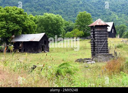 Old, wooden, octagon shaped silo has rusting tin roof. Barn stands ...