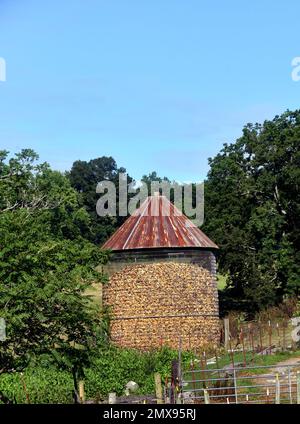 Old, corn crib is filled with corn crop. Round cylinder shaped silo is ...