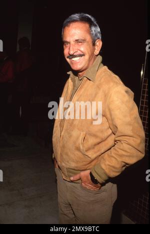 Don Adams Circa 1980's Credit: Ralph Dominguez/MediaPunch Stock Photo ...