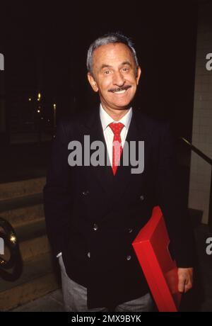 Don Adams at the 5th Annual Television Festival Opening Party in Los ...