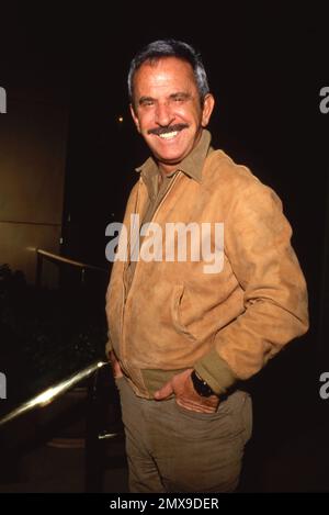 Don Adams Circa 1980's Credit: Ralph Dominguez/MediaPunch Stock Photo ...