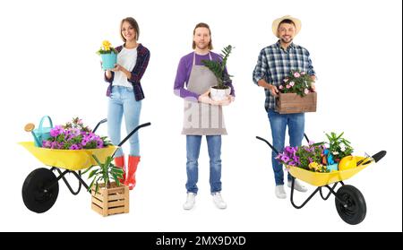Collage of florists with plants on white background Stock Photo - Alamy
