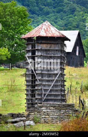 Old, wooden, octagon shaped silo has rusting tin roof. Barn stands ...