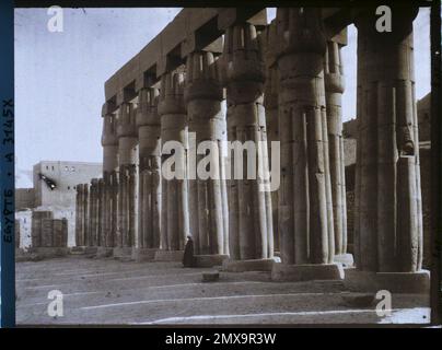 Louqsor, Egypt, Africa Colonnade of the court of Amenophis III, Habitat ...